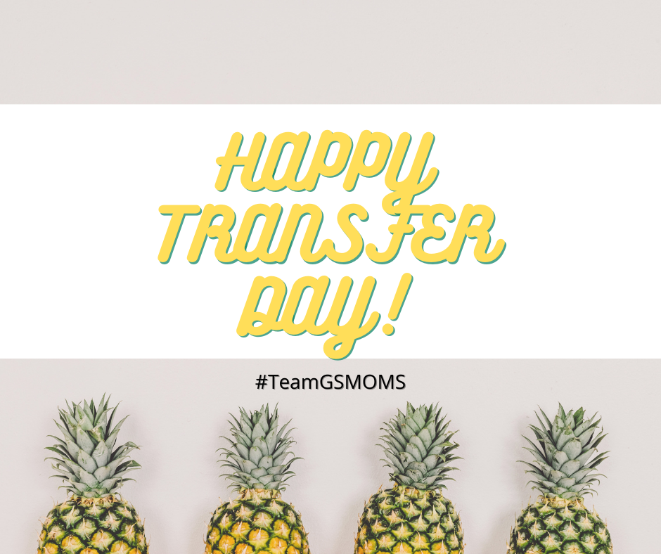 Happy Transfer Day! - GS Moms